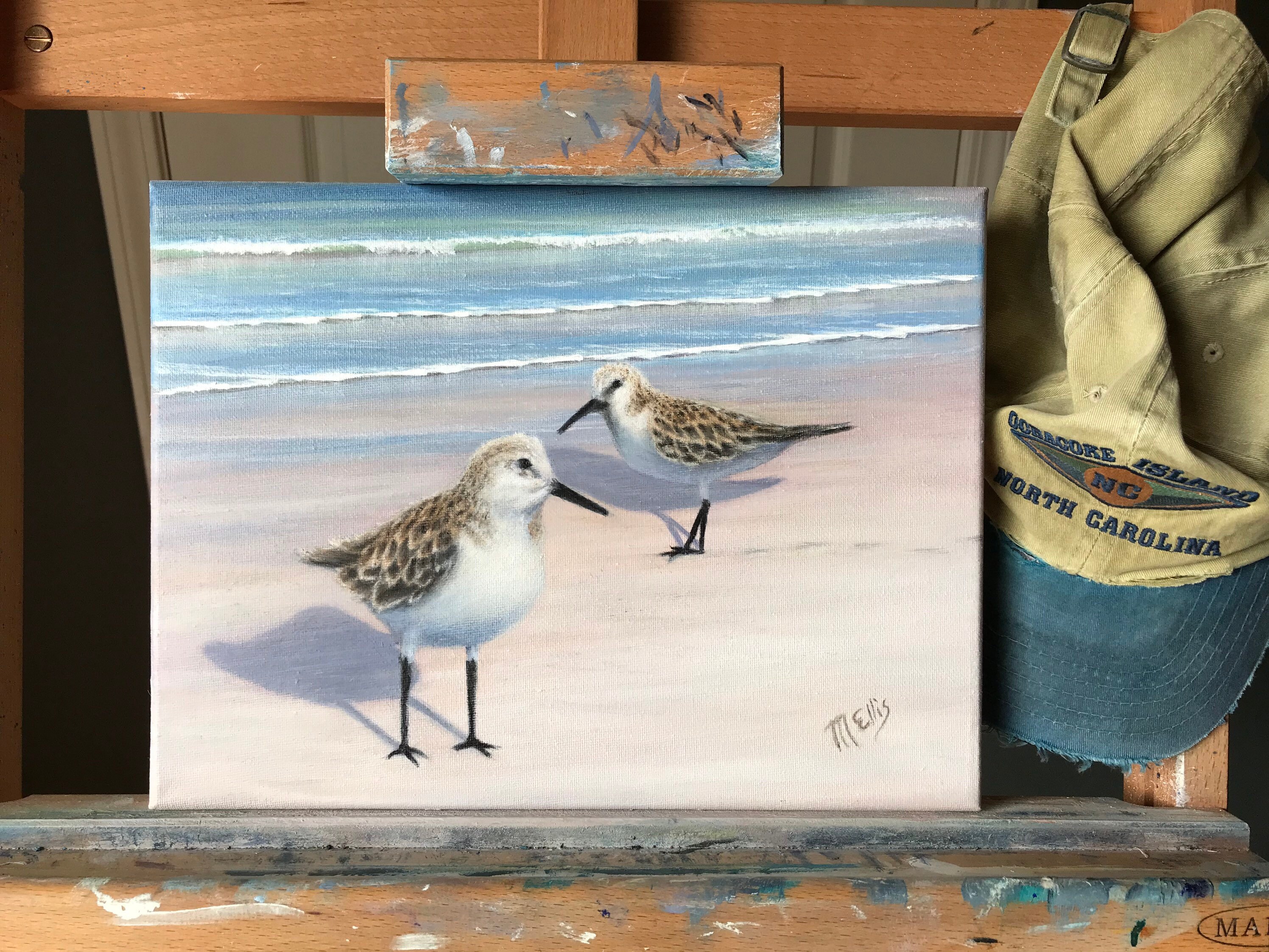 Birds on a Beach - Playing Coy, Shoreline Birds, Coastal Painting ...