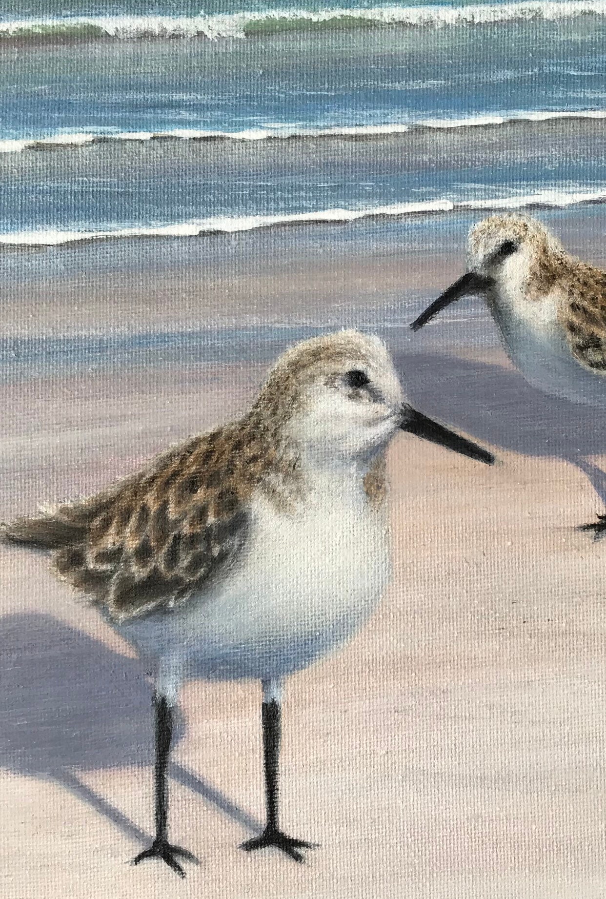 Birds on a Beach - Playing Coy, Shoreline Birds, Coastal Painting ...