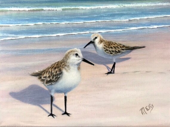 Birds on a Beach Playing Coy Shoreline Birds Coastal - Etsy