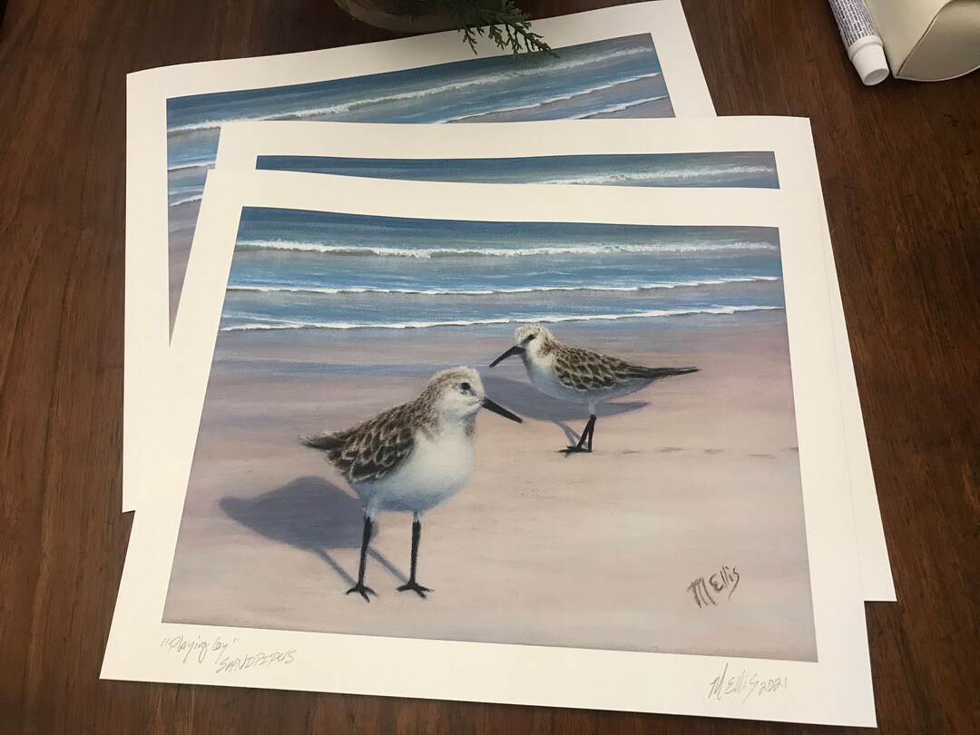 Birds on a Beach-playing Coy Prints,shoreline Birds,sandpipers,coastal ...