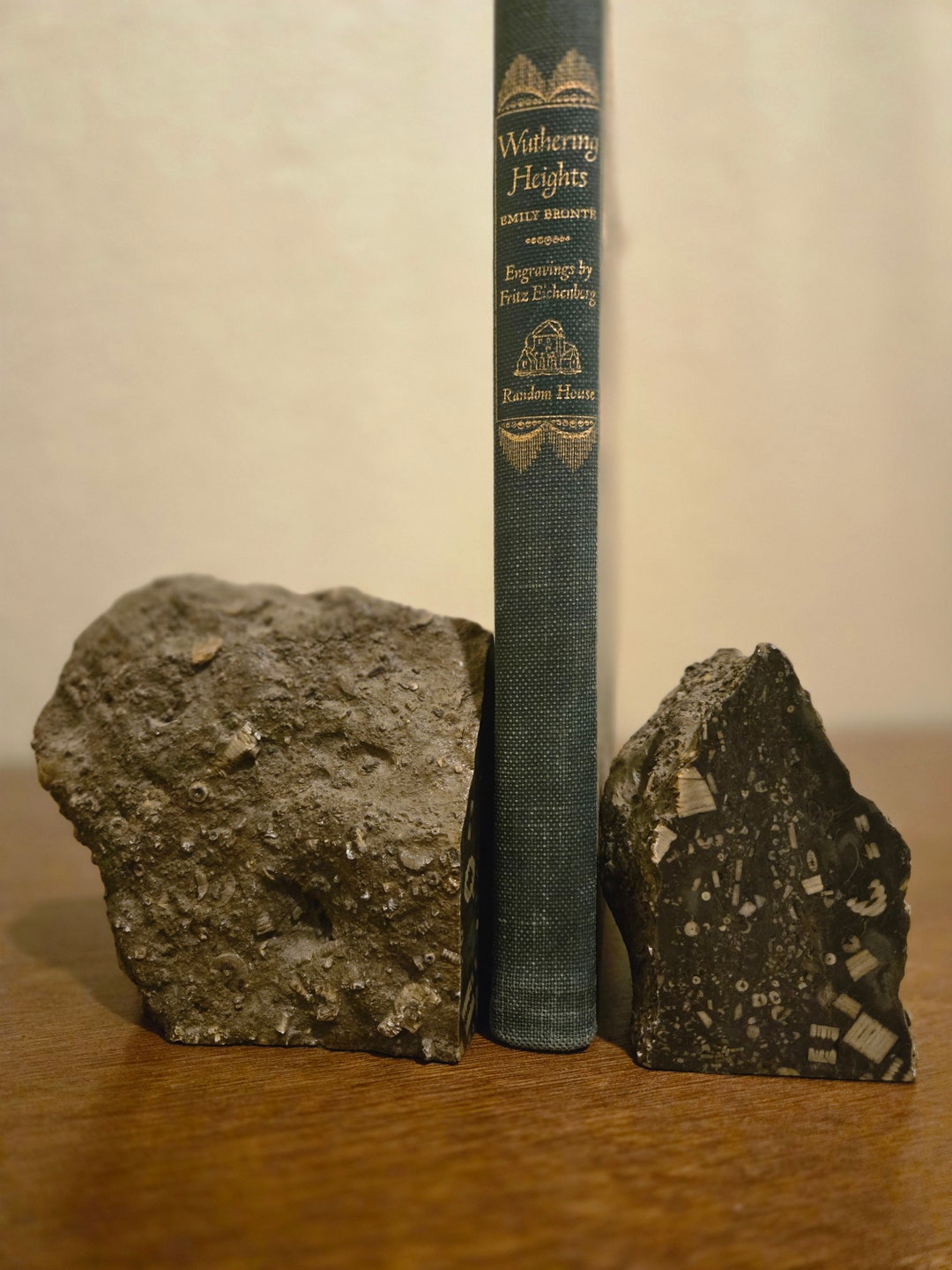 Crinoid Pitkin Limestone Fossils Bookends - Etsy
