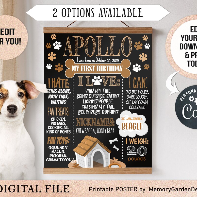 Dog Birthday - Etsy