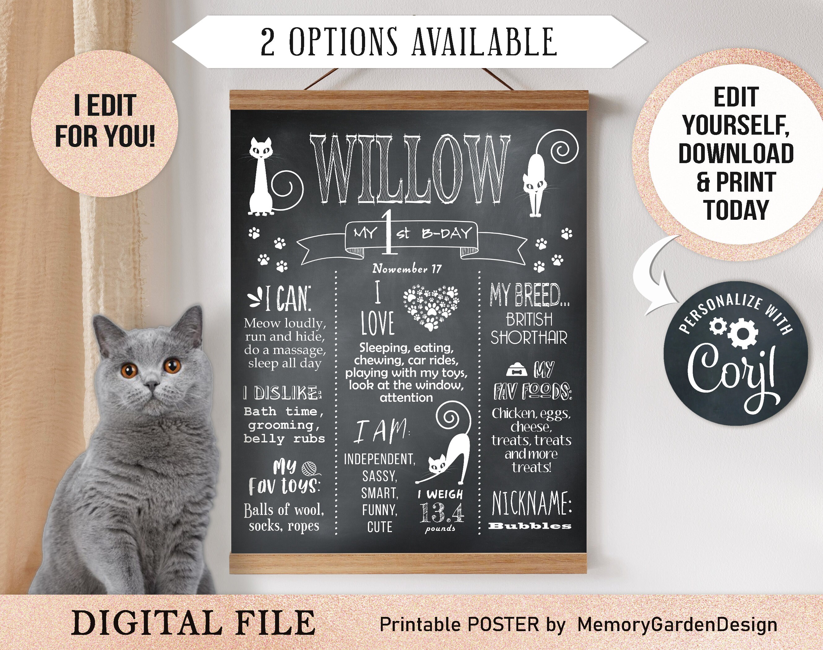 EDITABLE Cat Kitten Birthday Chalkboard Poster. Cat Printable - Etsy
