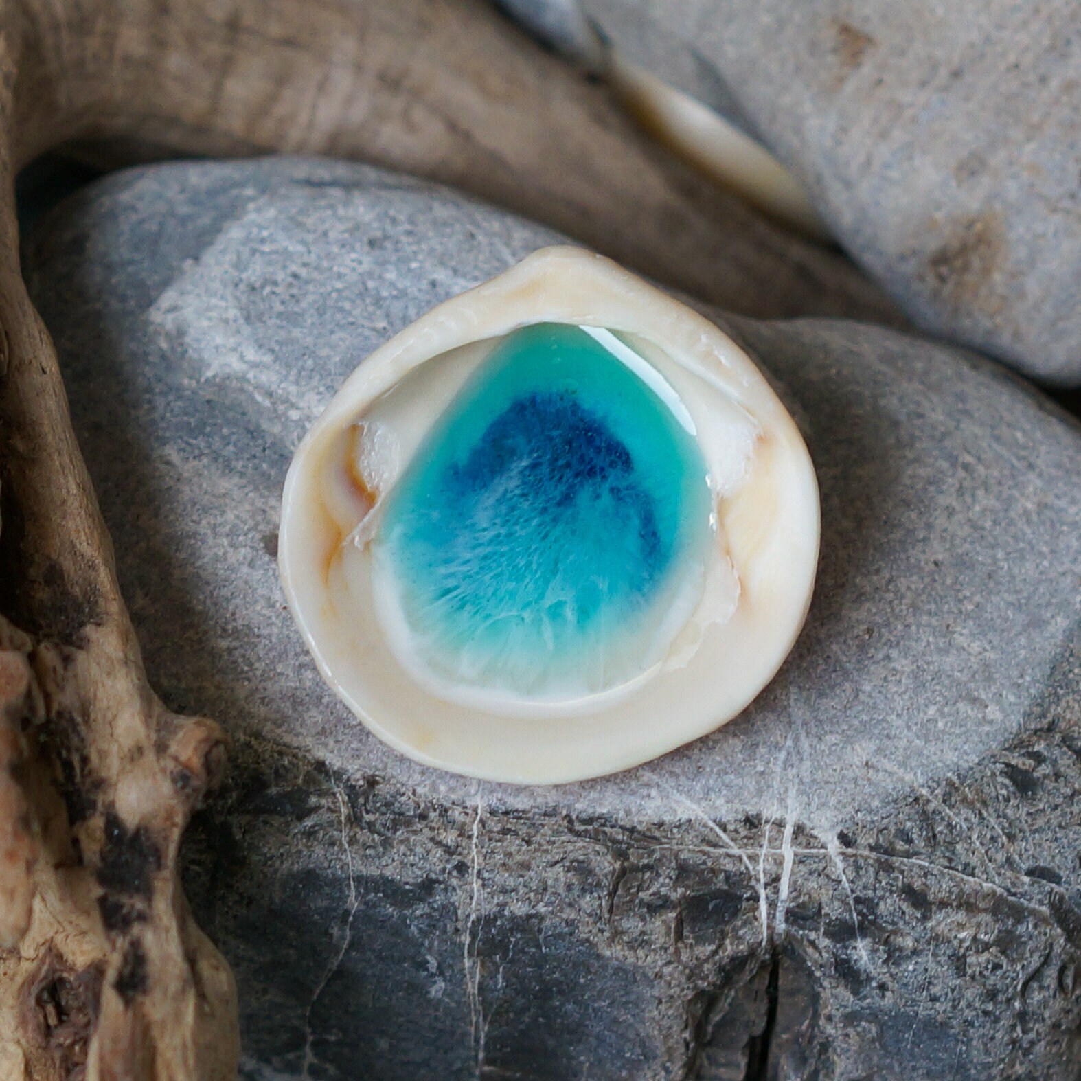 Customized Ocean Shell Resin Art ORIGINAL Special Gift Idea - Etsy