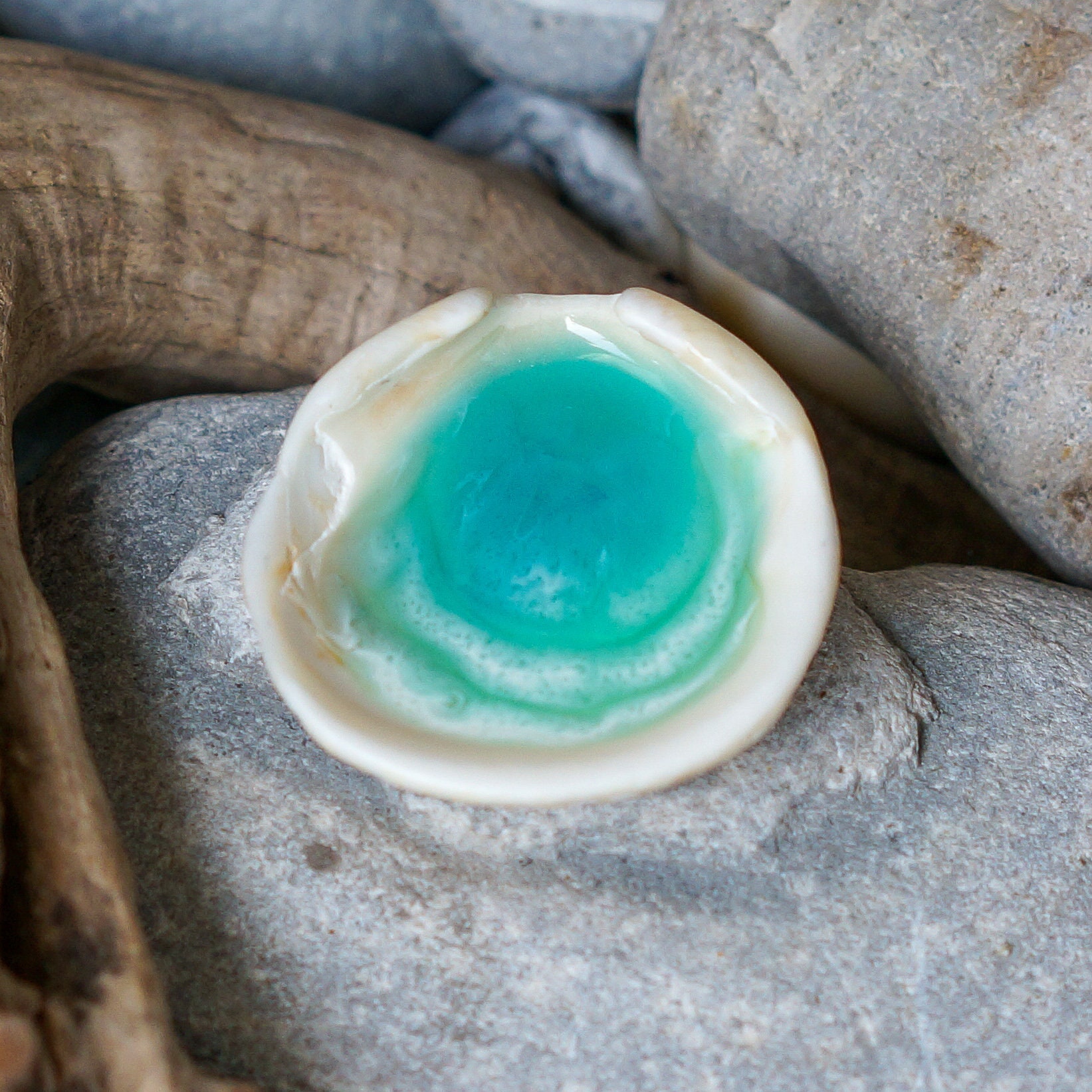 Customized Ocean Shell Resin Art ORIGINAL Special Gift Idea - Etsy