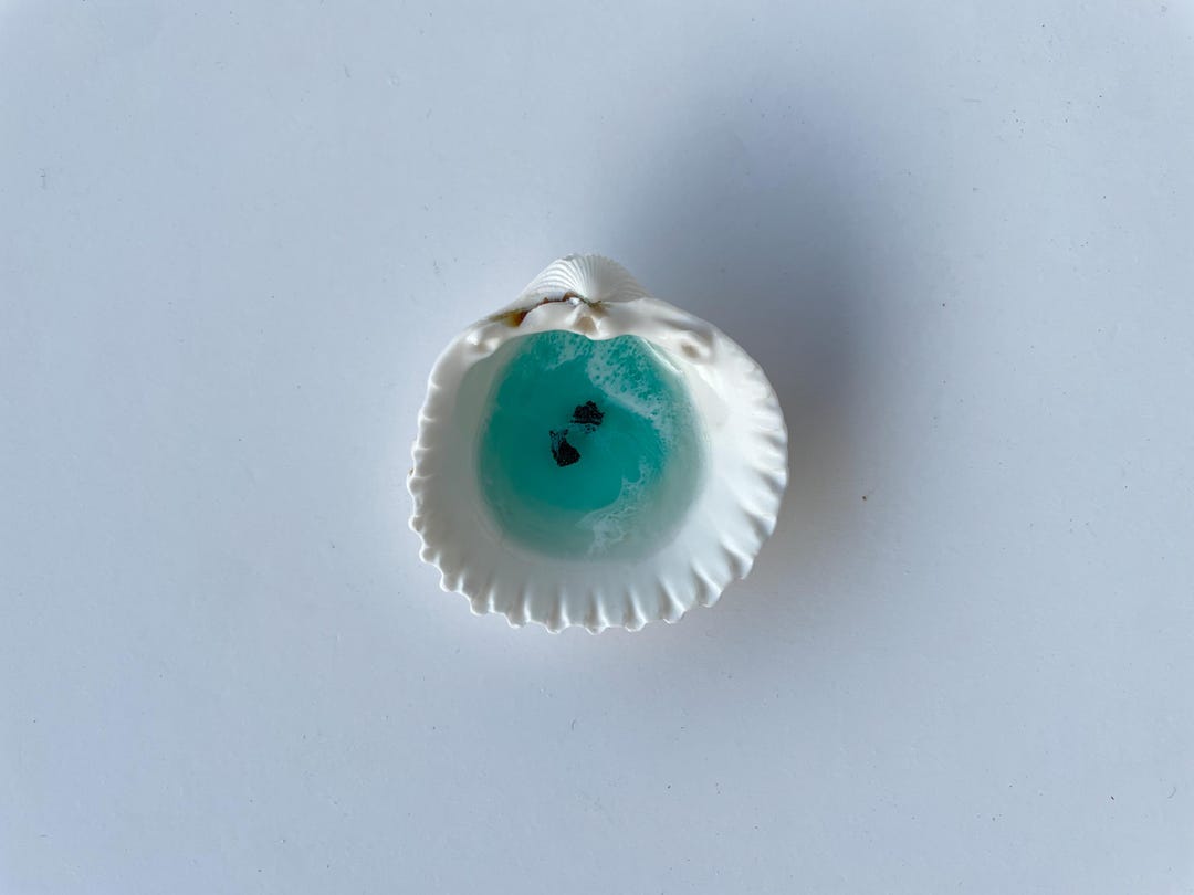 ORIGINAL Ocean Shell Resin Art LAGOON Decor Cockle Size M Little Sea in ...