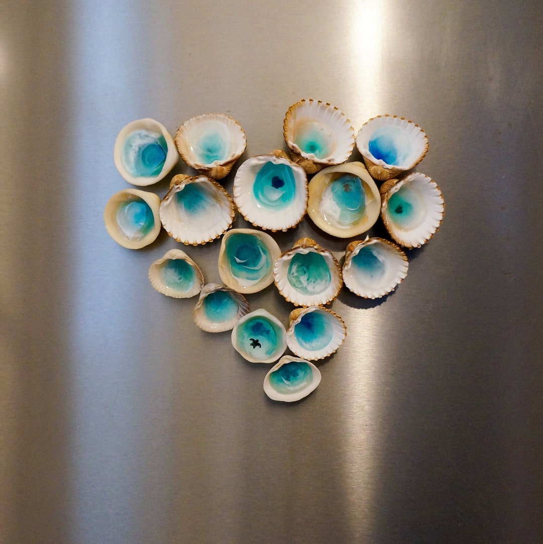 ORIGINAL Magnet OCEAN SHELL - Fridge Pin Sea Shell, Unique Gift Idea - Etsy