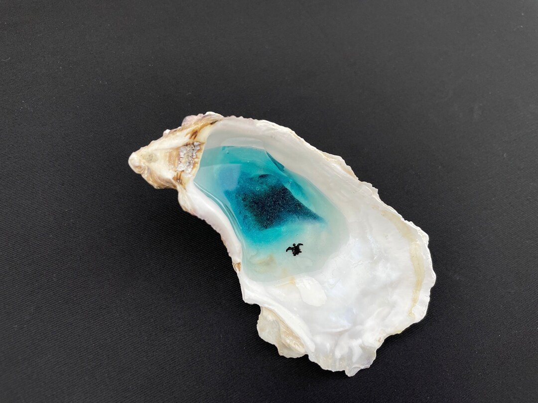 OYSTER SHELL Turtle Sea Shell Decoration Ocean Art, Handmade Gift - Etsy