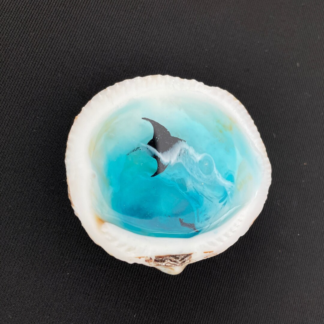 SHELL Magnet Ray Fridge Pin Sea Shell Ocean Art, Handmade Gift - Etsy