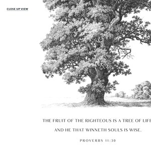 Proverbs 11:30 Tree of Life, Christian Wall Art Bible, Bible Verse ...