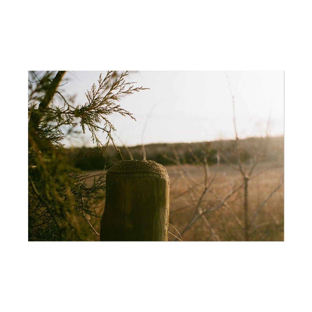 Rustic Fence Post Photography Print - Western Farmhouse Wall Decor ...