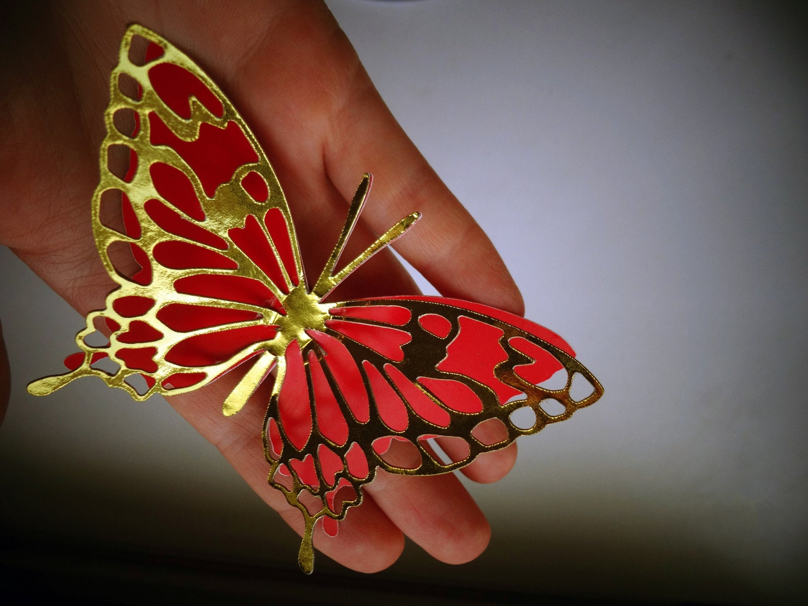 Butterfly SVG 3D Butterfly Svg Butterfly Template 3D - Etsy