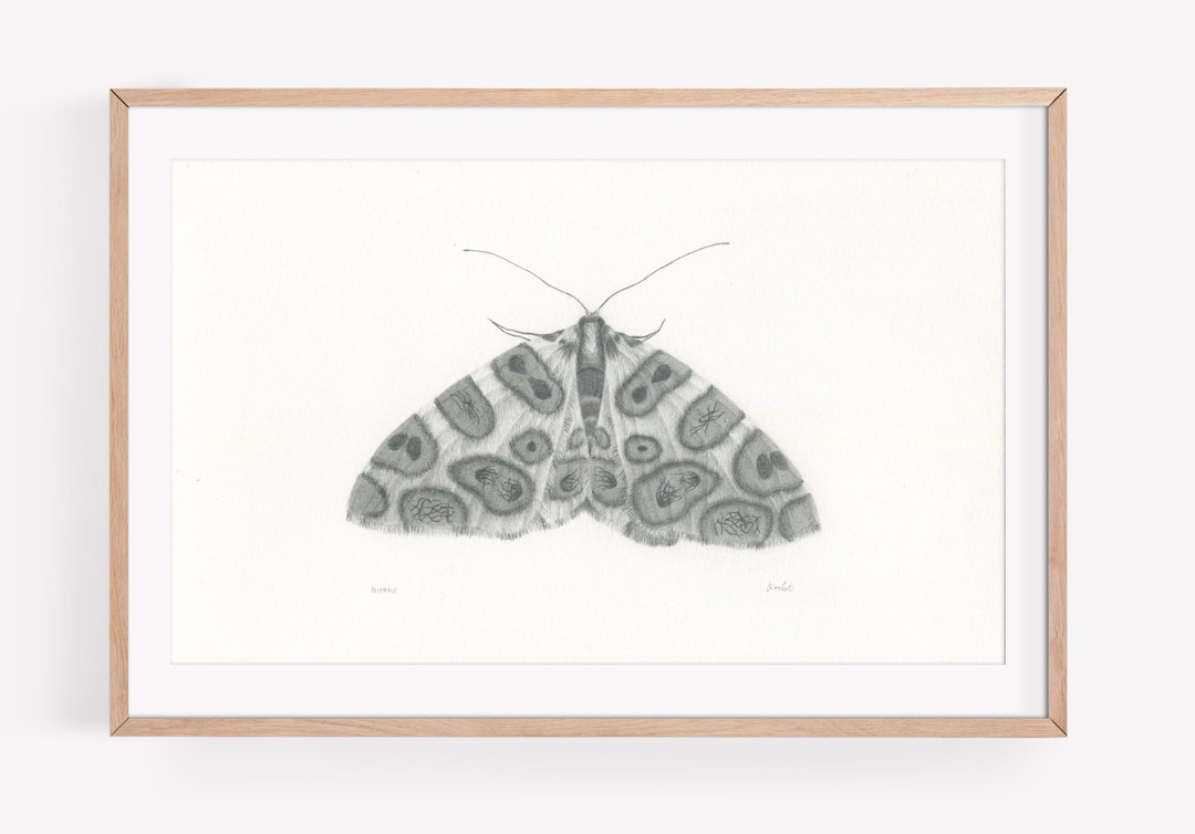 Art Print - Mitosis. Surreal Moth Illustration, Wall Art - Etsy