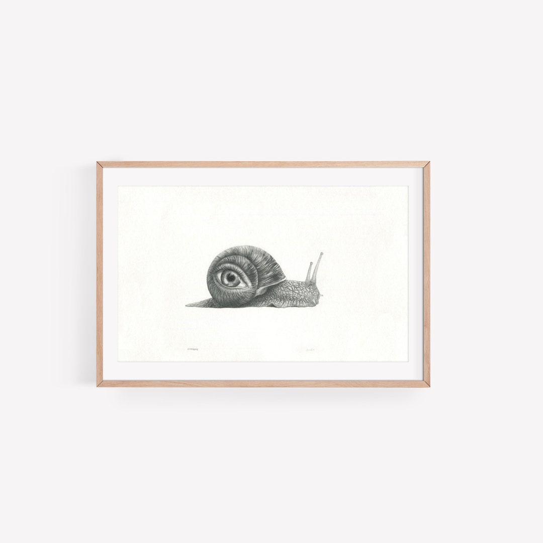 Whimsical Snail Art Print: Surreal Eyegene Giclée Wall Art - Etsy