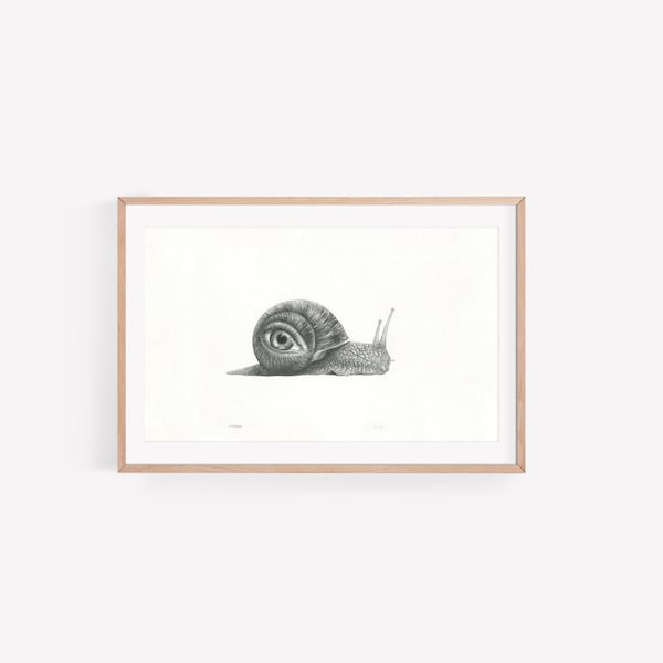 Snail Art Print - Etsy