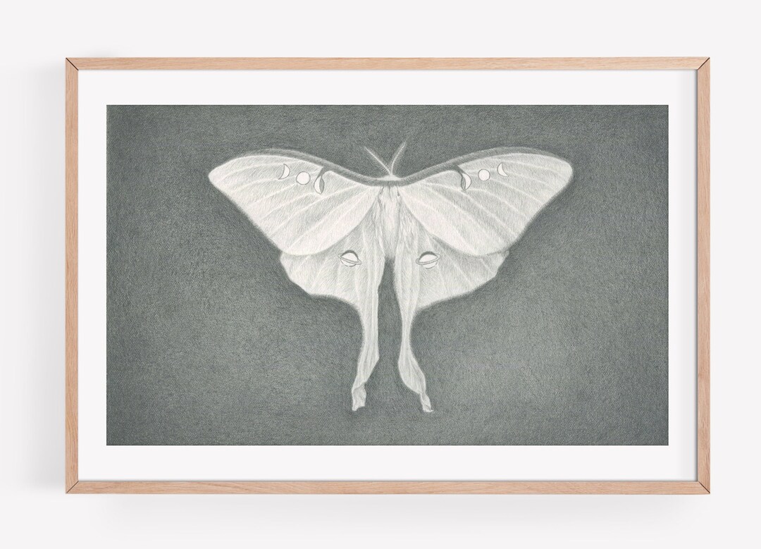 Art Print - Lune. Surreal Moth Illustration, Wall Art - Etsy
