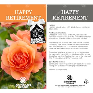 Happy Retirement Rose - Help Celebrate a Special Friend or Colleague ...