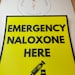 Naloxone Definition - Etsy