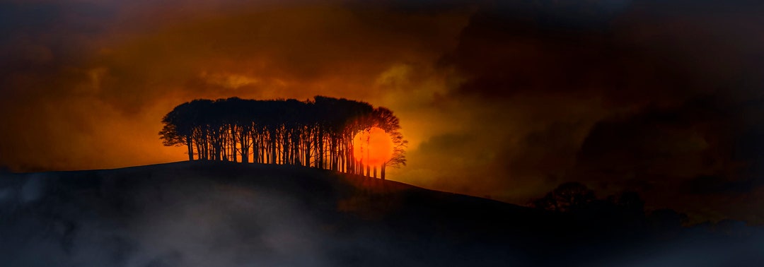 Photo Print, Artistic Image of the 'nearly There Trees' 'nearly Home ...