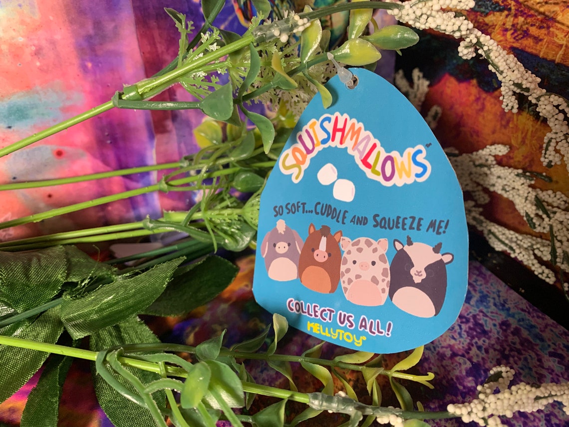 Custom Squishmallow Pet Tag Etsy
