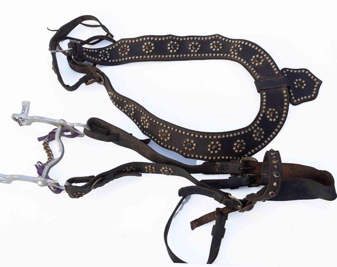 Vintage Don Ricardo Aluminum Hand Engraved Bit, Leather Headstall With ...