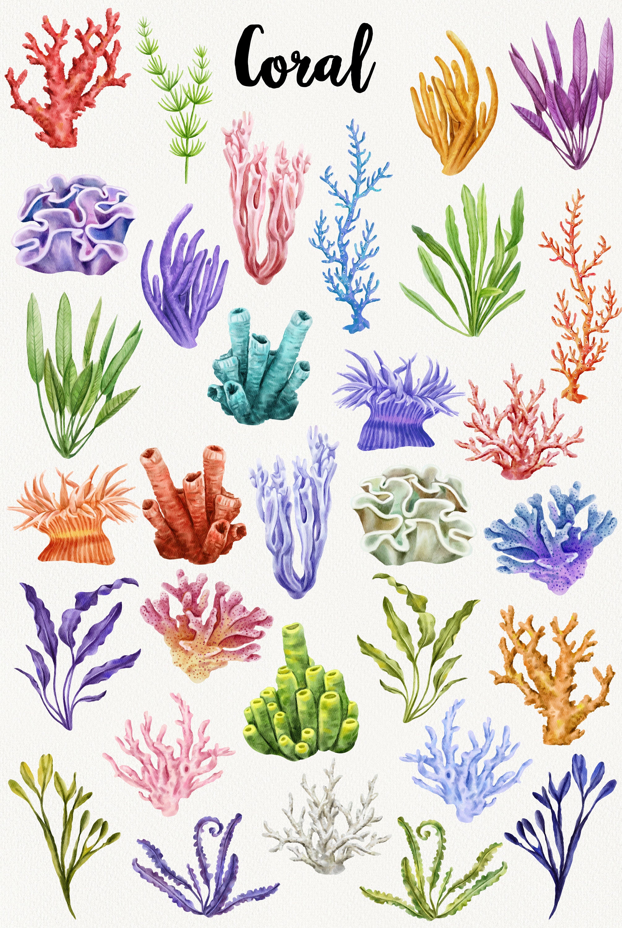 Watercolor Coral Reef Clipart Under the Sea life clip art | Etsy