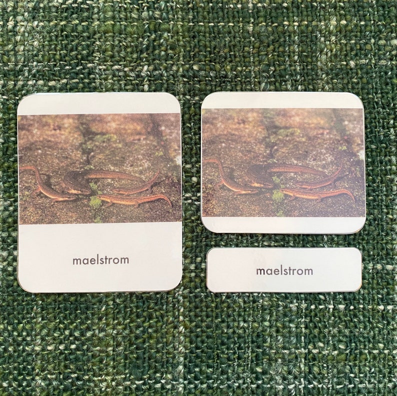 Collective Noun 3-part Montessori Language Cards PDF - Etsy