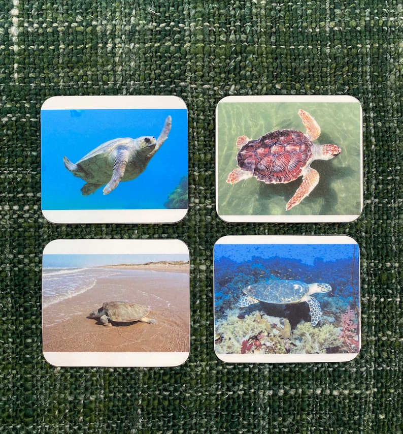Sea Turtle 3-part Montessori Language Cards PDF - Etsy