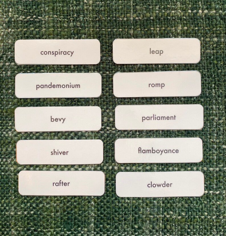 Collective Noun 3-part Montessori Language Cards PDF - Etsy