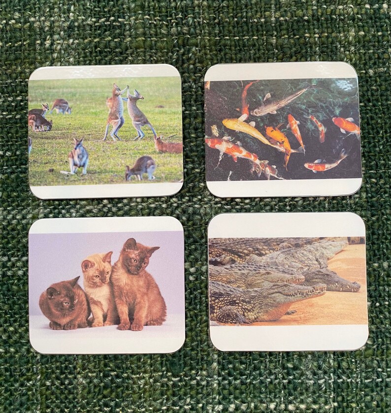 Collective Noun 3-part Montessori Language Cards PDF - Etsy