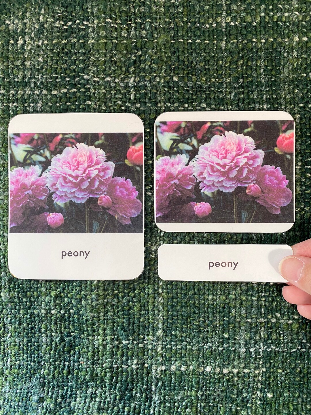 Spring Flowers 3-part Montessori Language Cards PDF - Etsy