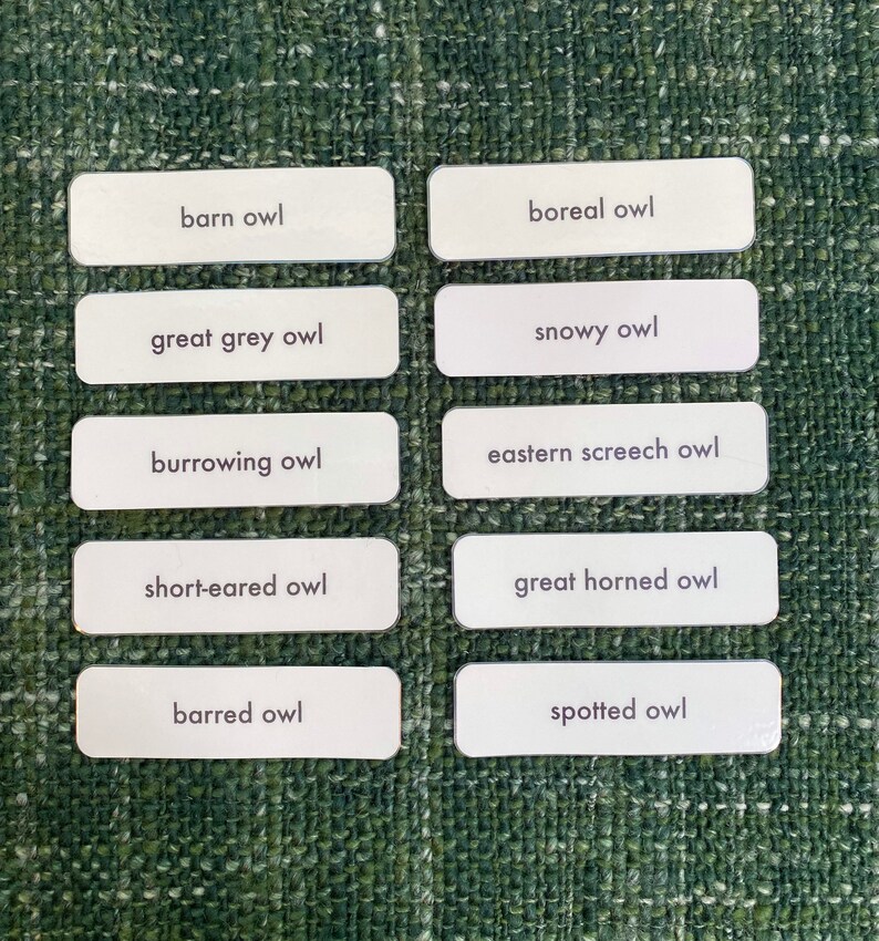Owls 3-part Montessori Language Cards PDF - Etsy