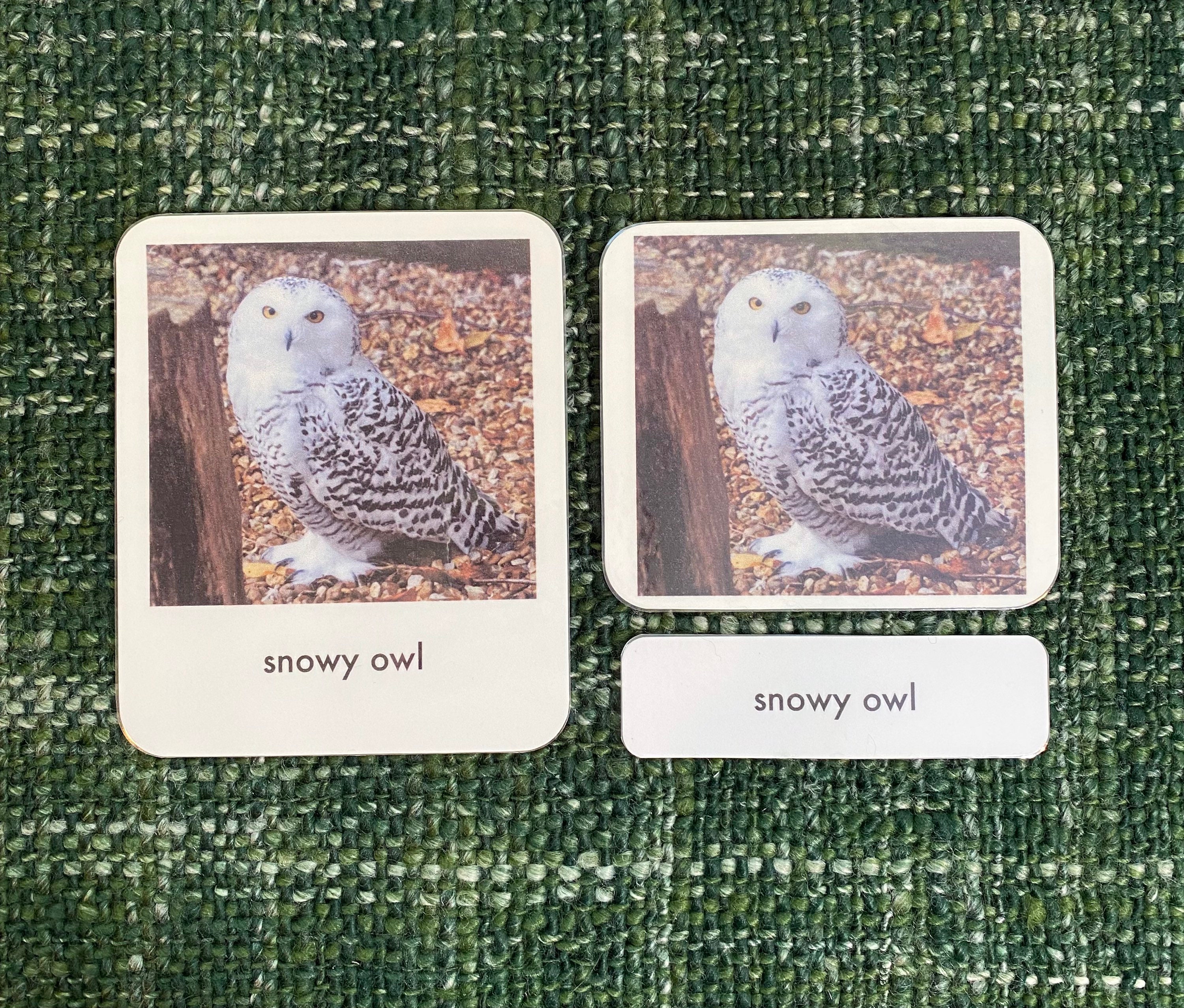 Owls 3-part Montessori Language Cards PDF - Etsy