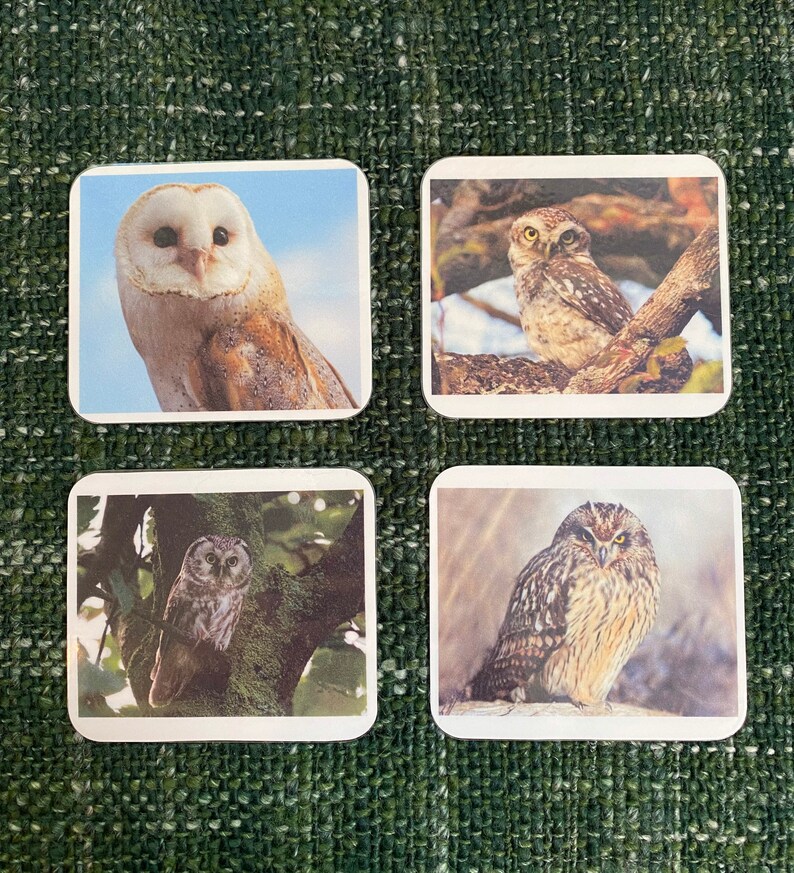 Owls 3-part Montessori Language Cards PDF - Etsy