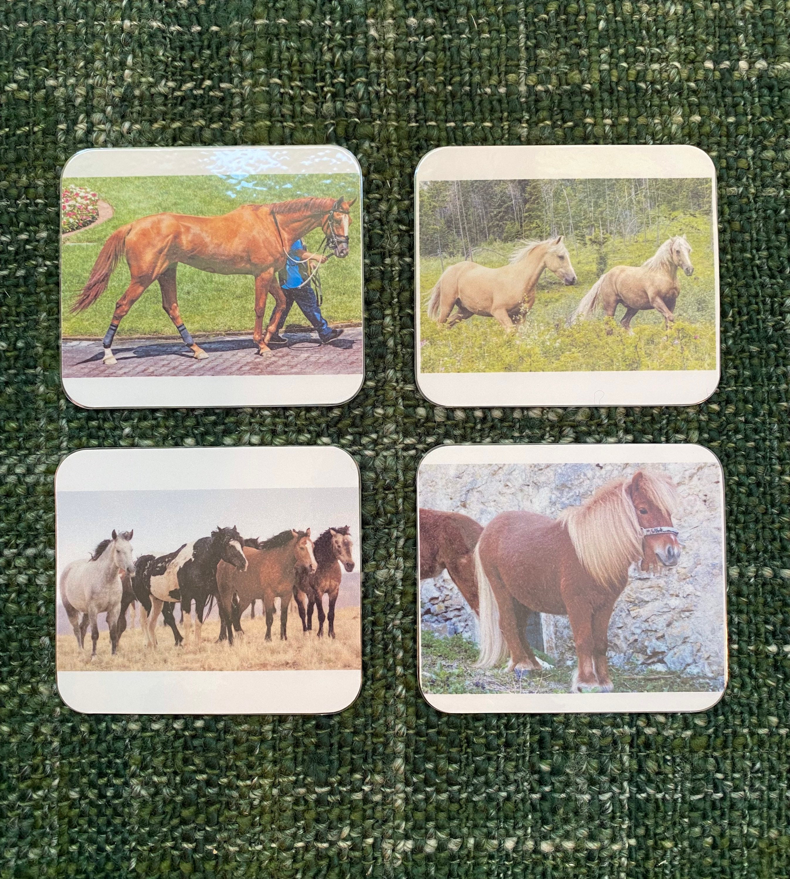Horse Breeds 3-part Montessori Language Cards PDF - Etsy