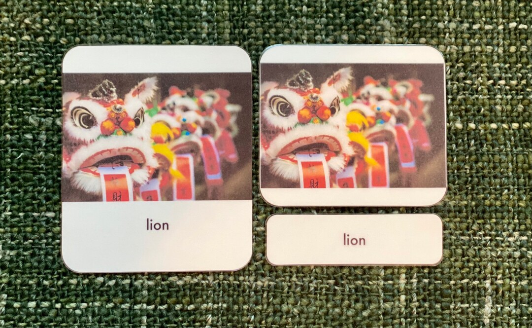 Lunar New Year 3-part Montessori Language Cards PDF - Etsy