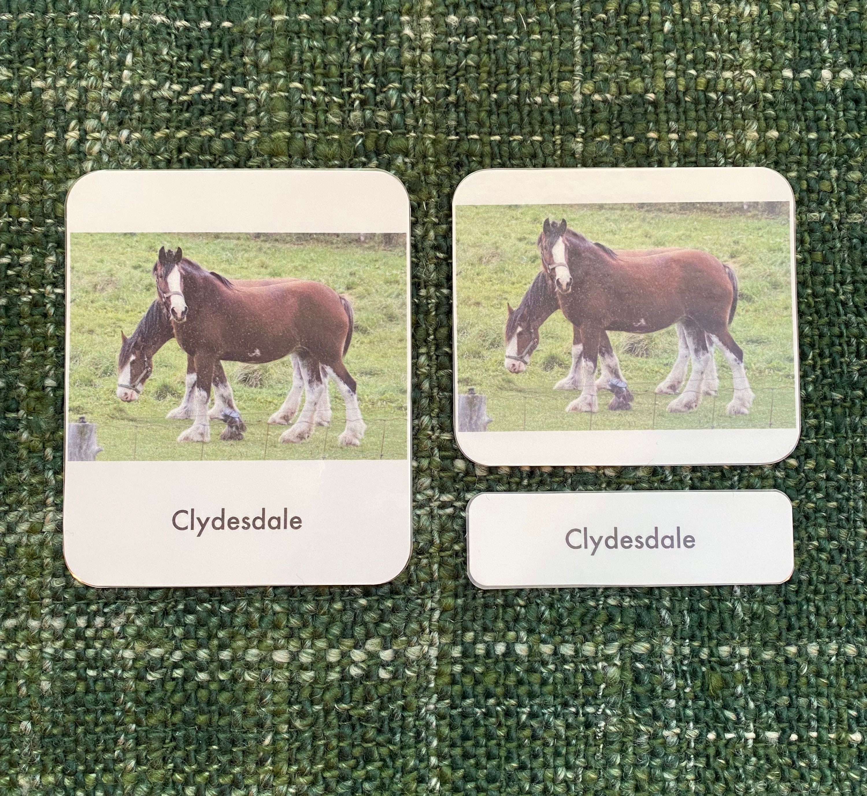 Horse Breeds 3-part Montessori Language Cards PDF - Etsy