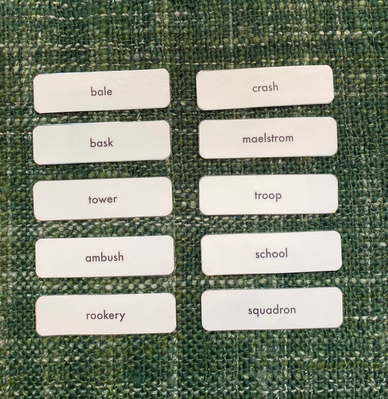 Collective Noun 3-part Montessori Language Cards PDF - Etsy