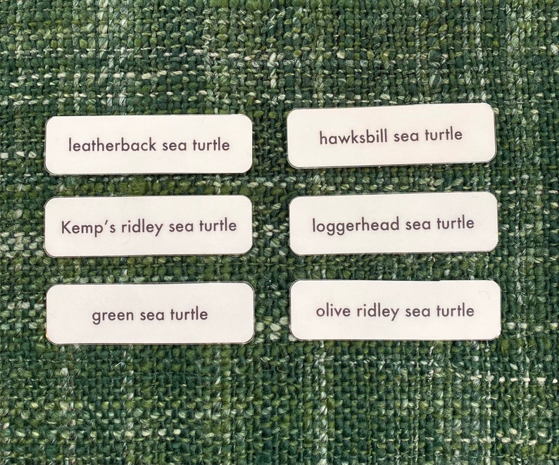 Sea Turtle 3-part Montessori Language Cards PDF - Etsy