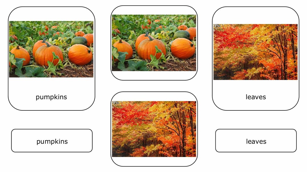 Autumn 3-part Montessori Language Cards PDF - Etsy