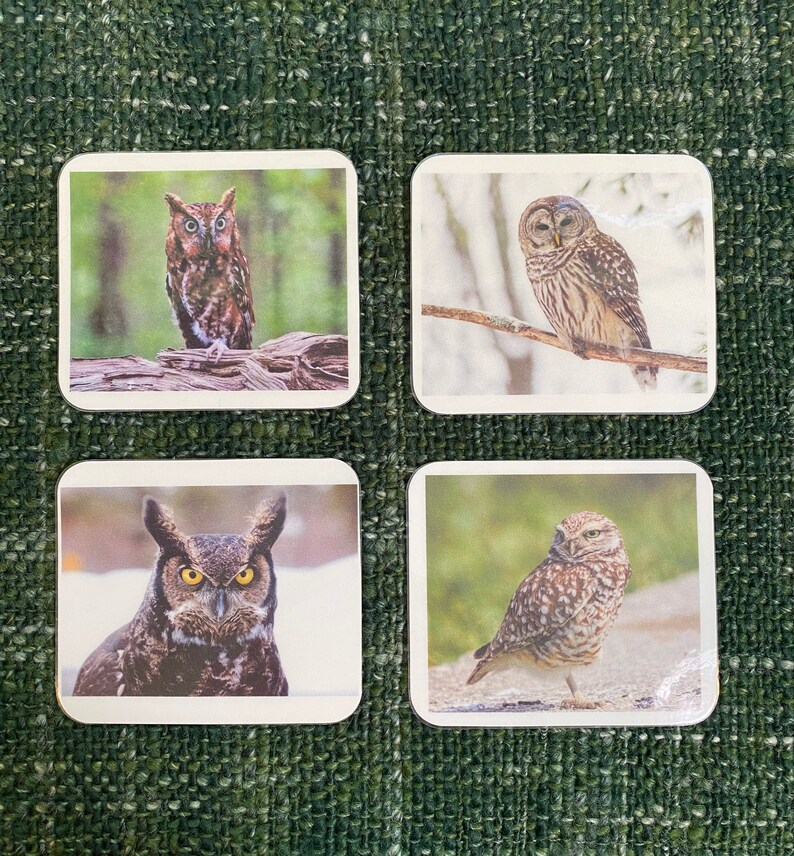 Owls 3-part Montessori Language Cards PDF - Etsy