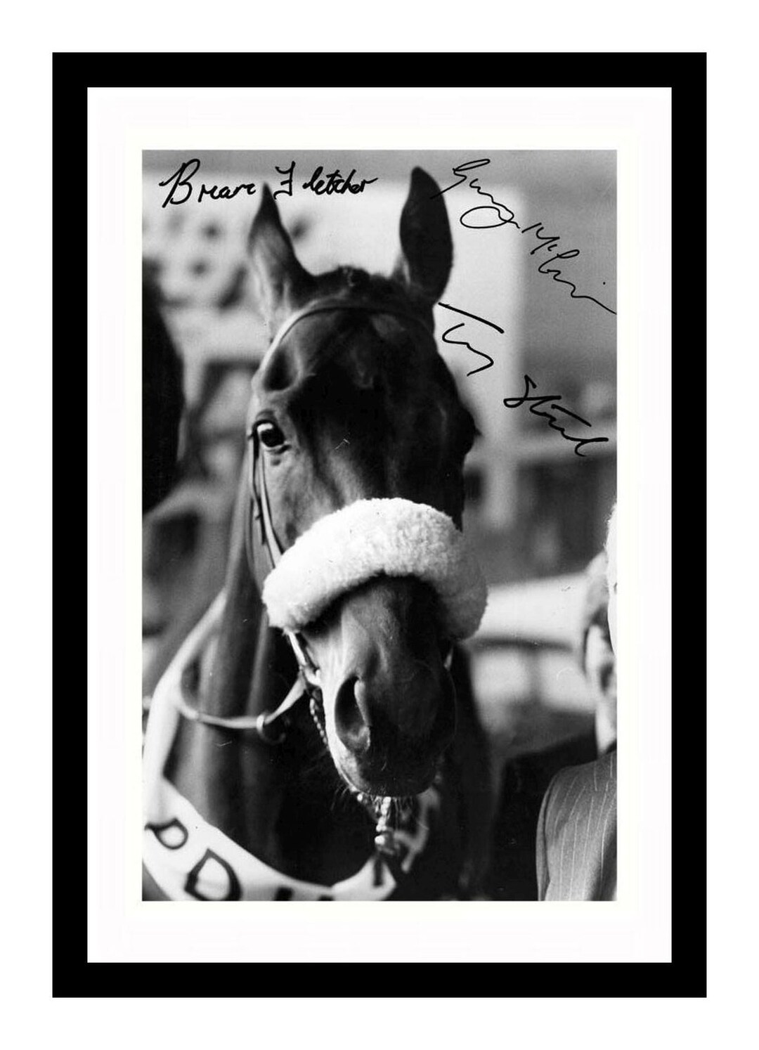 Tommy Stack and Brain Fletcher and Ginger Mccain Red Rum - Etsy