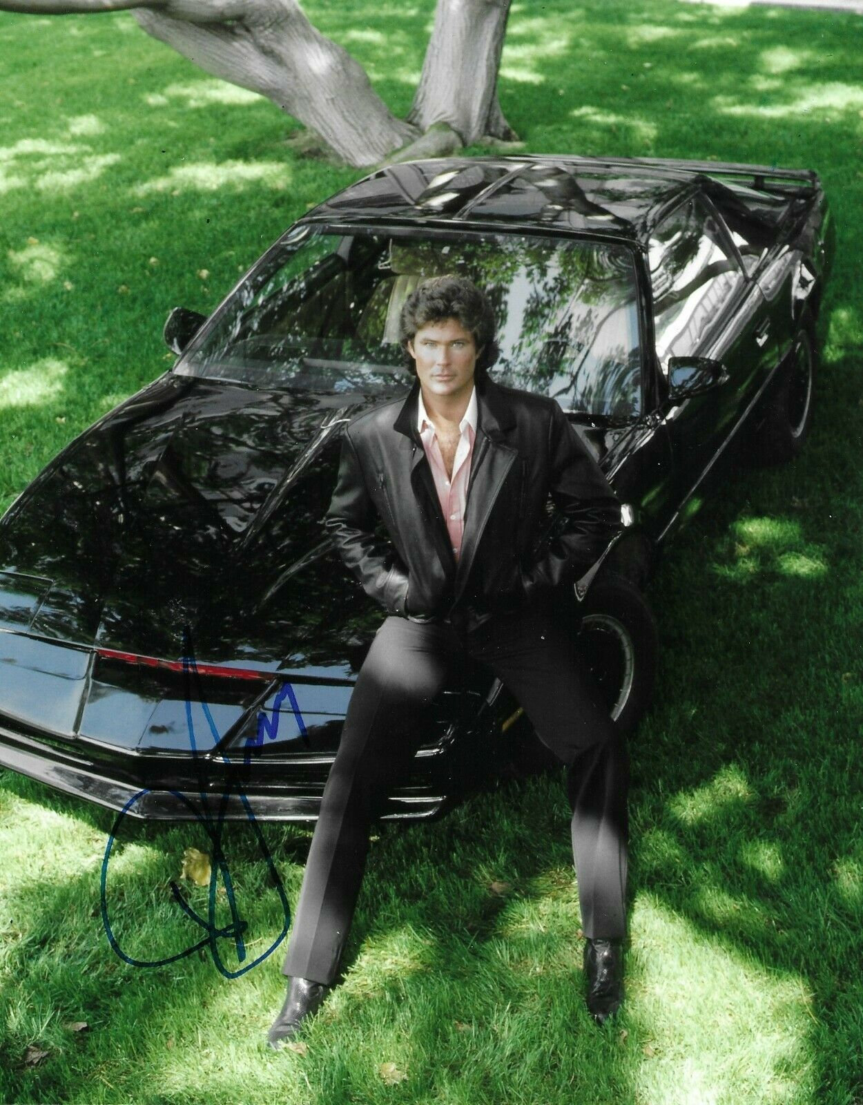David Hasselhoff Knight Rider Autographed Signed 8x10 Glossy Photo ...