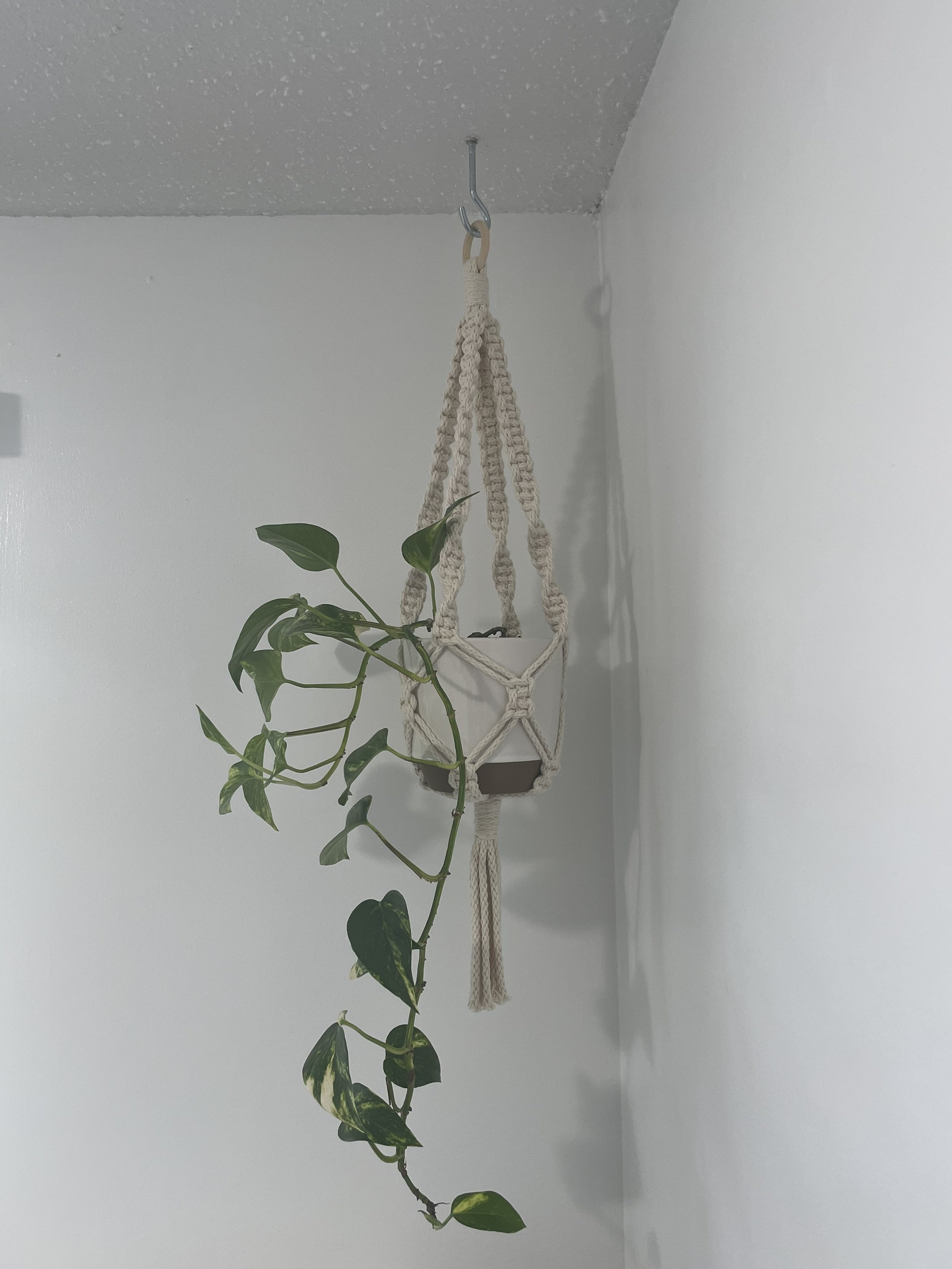 Macrame Hanging Planter Macrame Plant Hanging Indoor Plant - Etsy