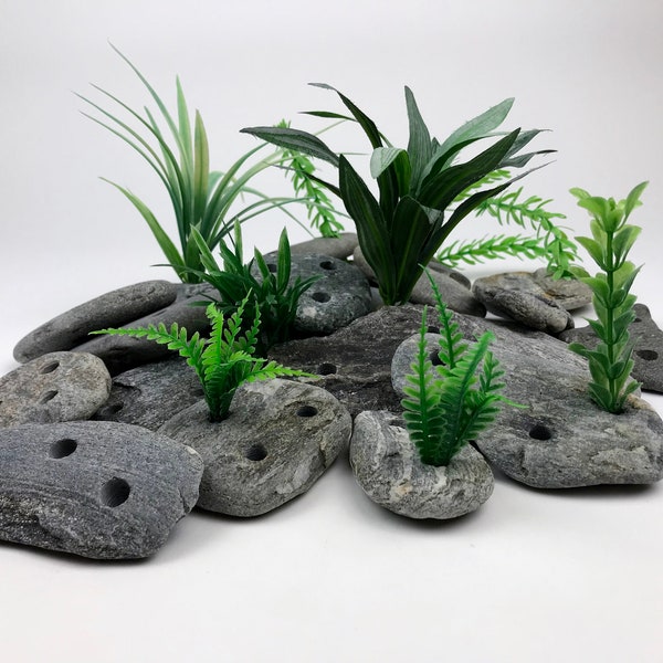 Aquarium Decoration - Etsy