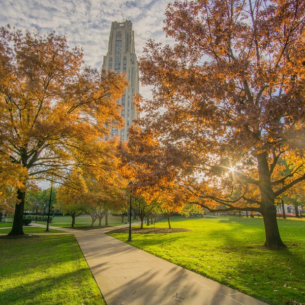 University of Pittsburgh Wall Art - Etsy