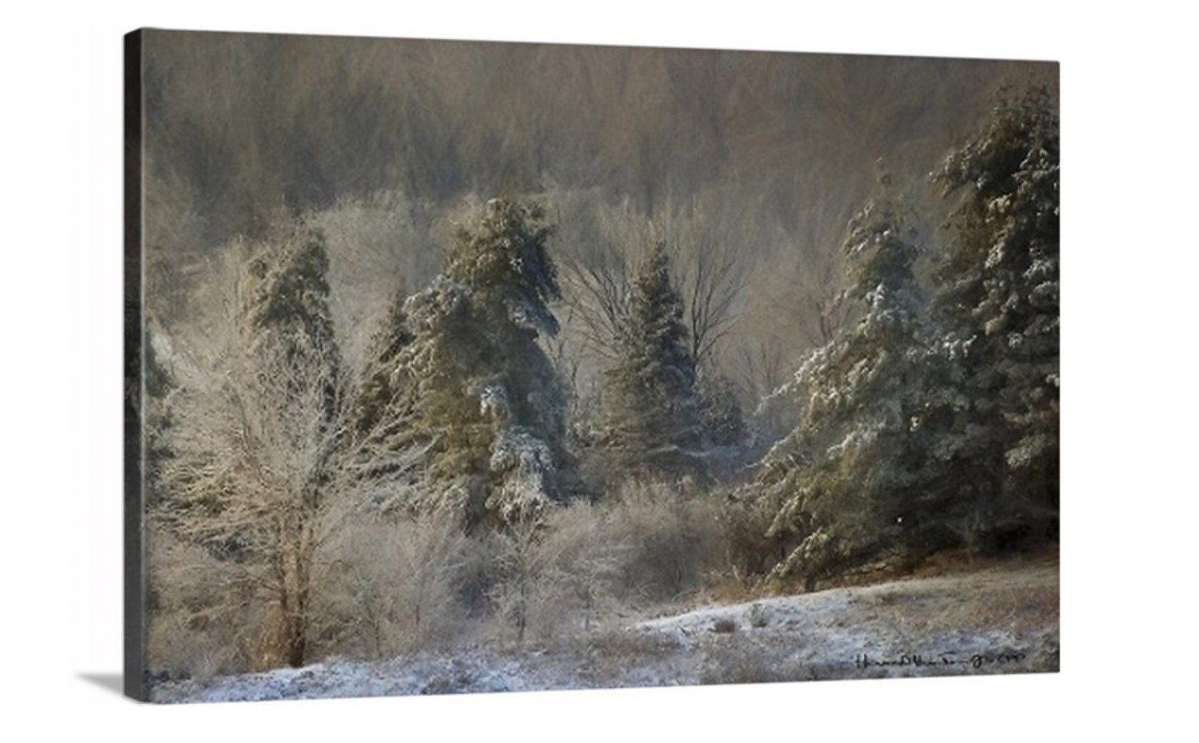 Winter Scene Evergreens Cold and Snow Wall Art Print the Burden of ...