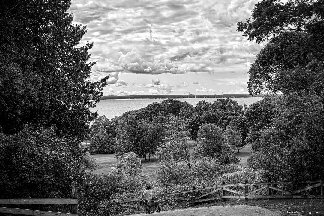 Beautiful Sky B&W Art Print scenic View Wall Art Forest - Etsy