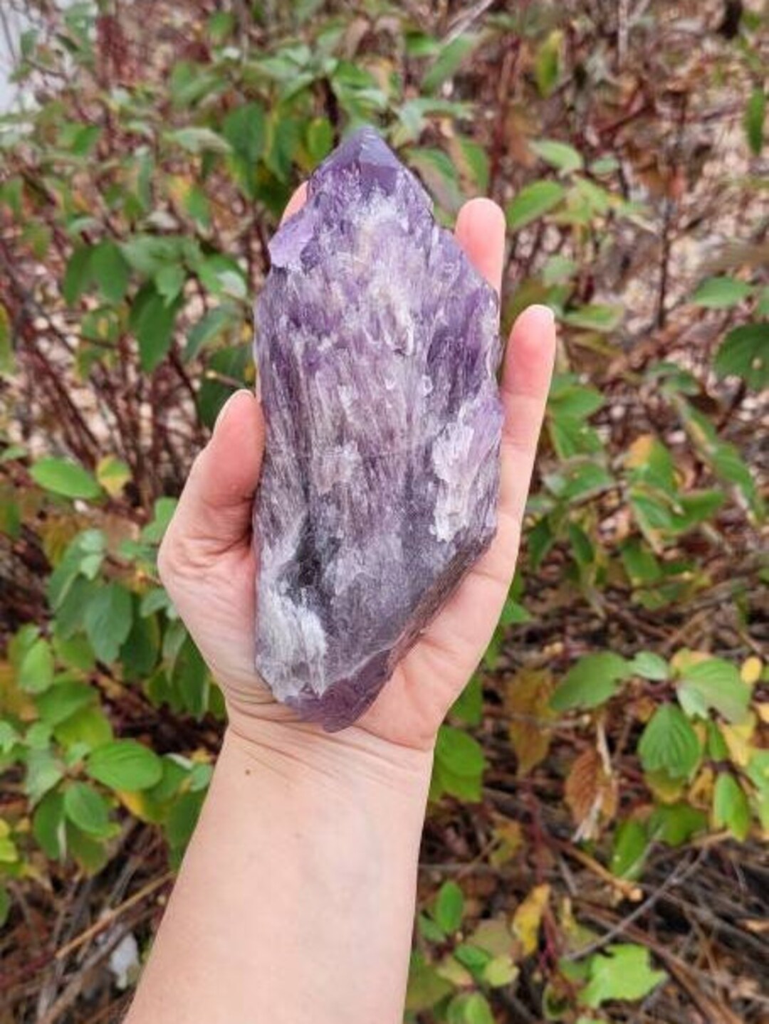 Amethyst Elestial Quartz Skeletal, Jacare or Crocodile Quartz Just a ...
