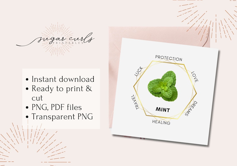 Mint Plant Printable Meaning Card Real Image. Digital Download Crystal ...